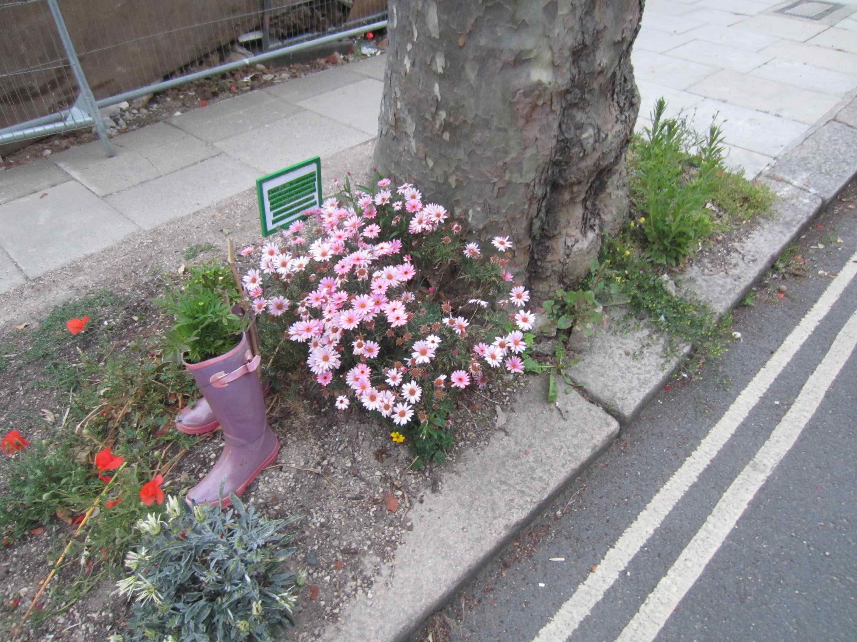 Local & Affiliate News | The Hammersmith Society
